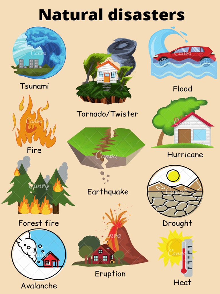 Here are the matches between the pictures and words: 1. Tsunami 2 ...