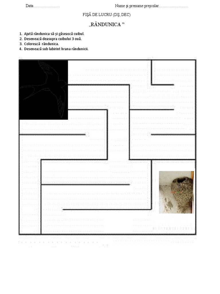 Fisa Labirint Randunica | PDF