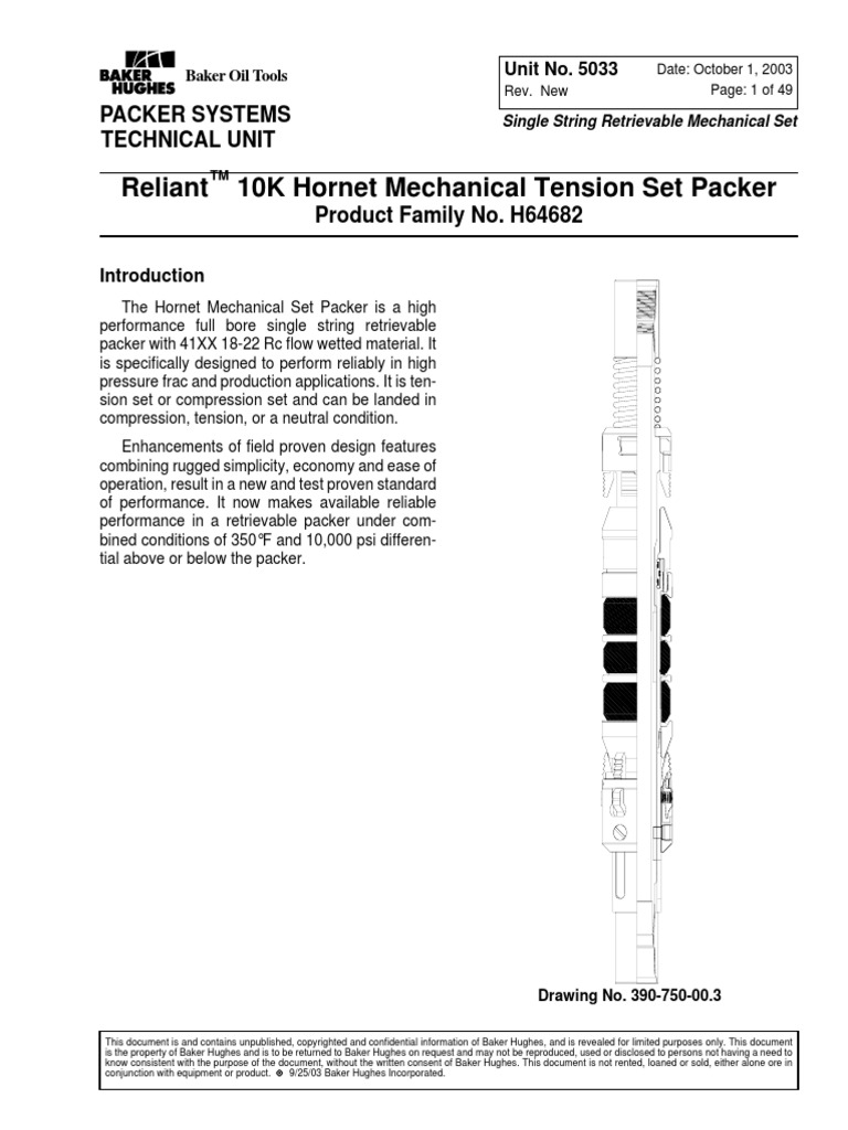 Reliant 10K Hornet Mechanical Tension Set Packer: Packer Systems ...