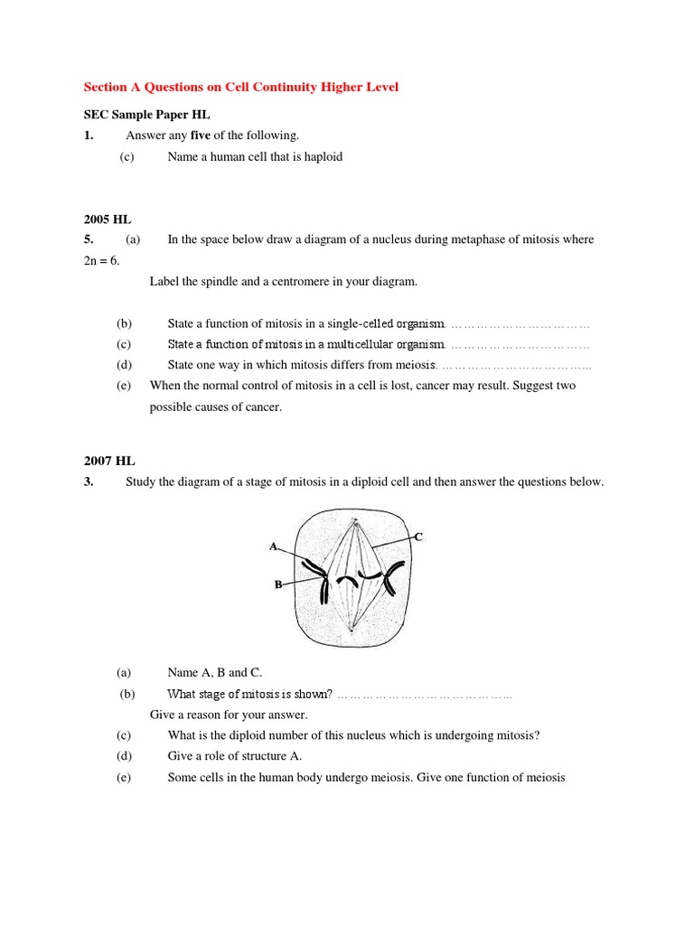 Section A Questions On Cell Continuity Higher Level: SEC Sample Paper ...