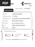 Formato Rips Diligenciar en Excel | PDF | Informática | Business