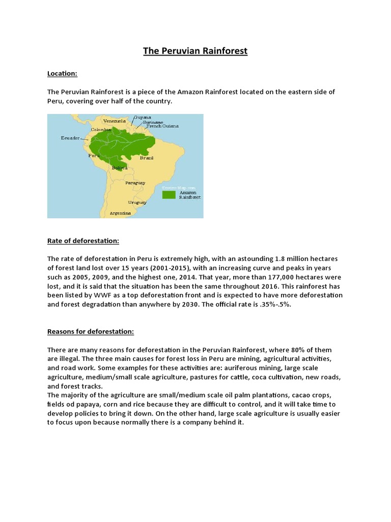 The Peruvian Rainforest Case Study | PDF | Deforestation | Amazon ...