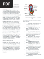 Mind Map | PDF | Cell (Biology) | Cell Membrane
