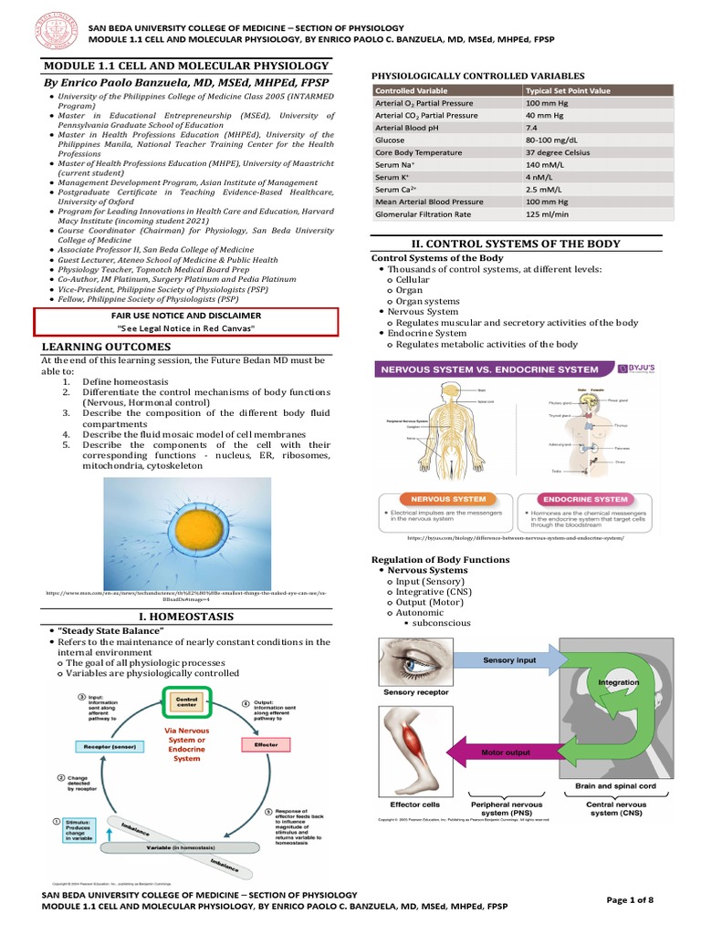 Module 1.1 Cell and Molecular Physiology 2020 Handout.pdf | Endoplasmic ...