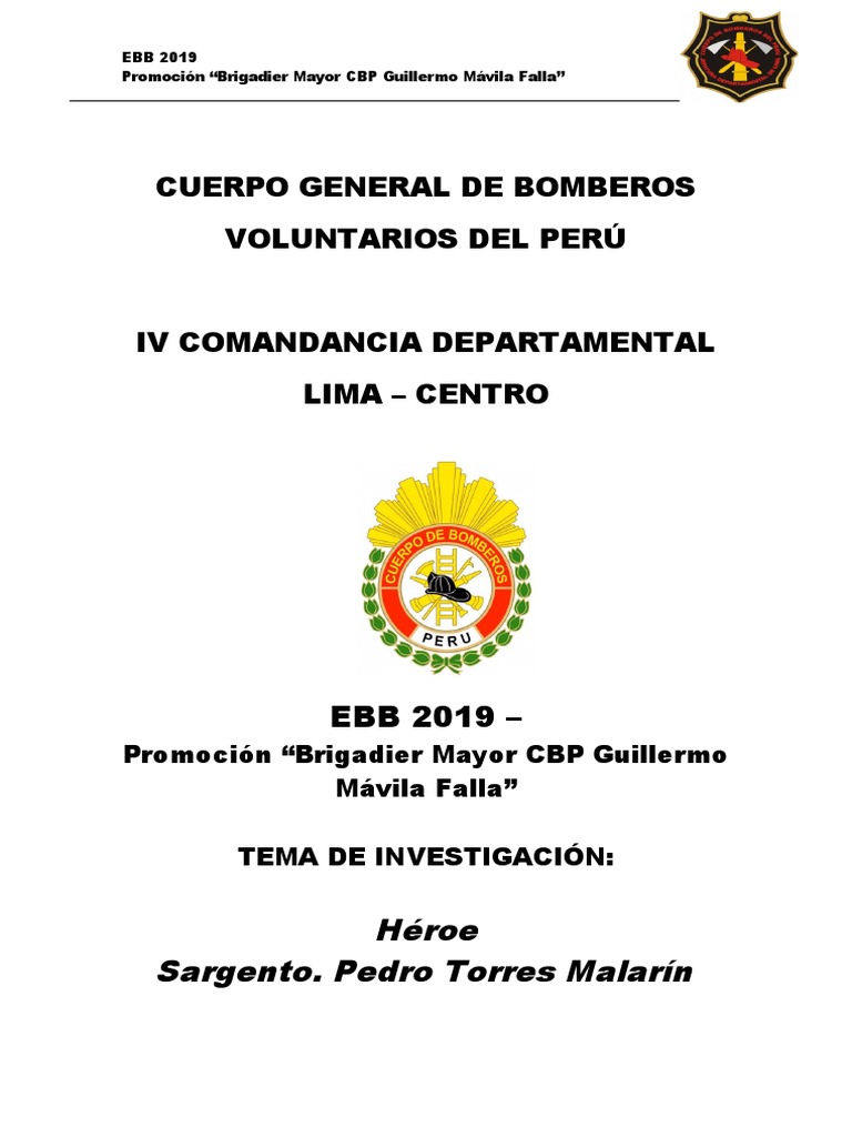 Heroe Pedro Torres Malarin | PDF