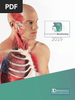 Netter's Anatomy Coloring Book | PDF