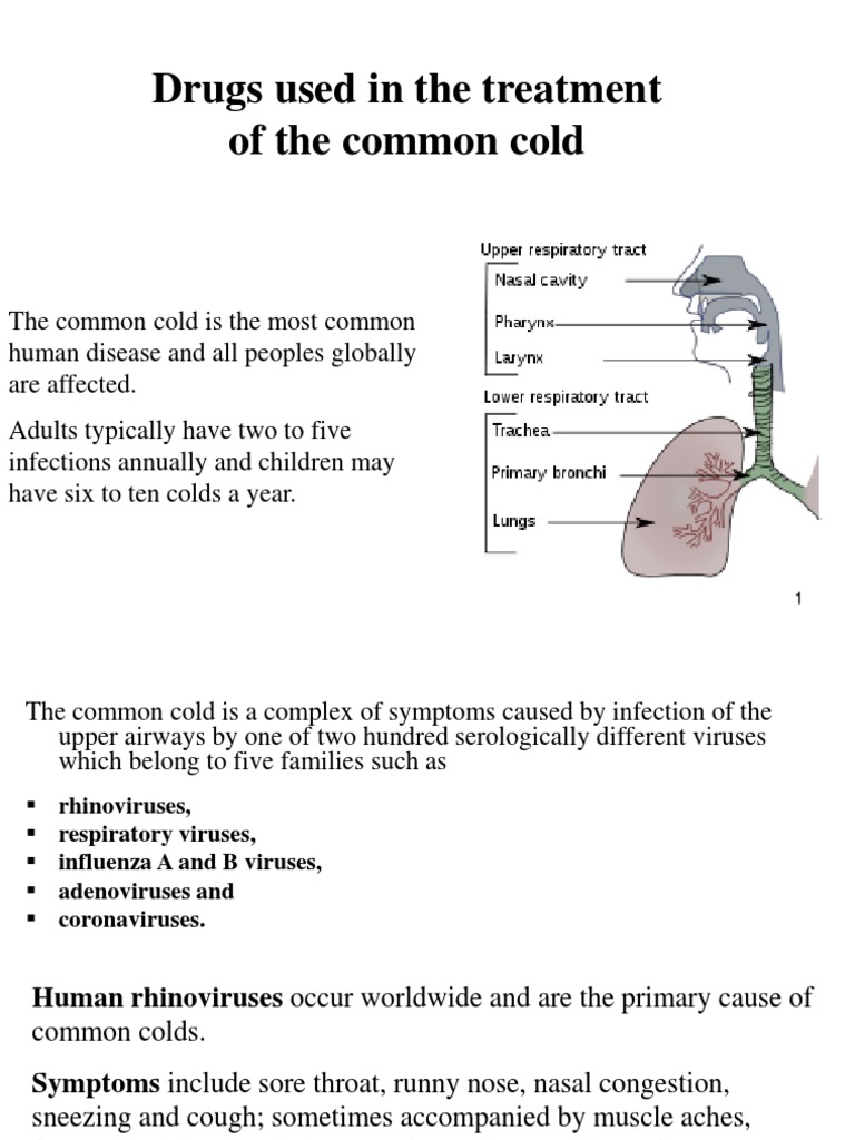 Drugs Used in the Treatment of the Common Cold: An In-Depth Review of ...