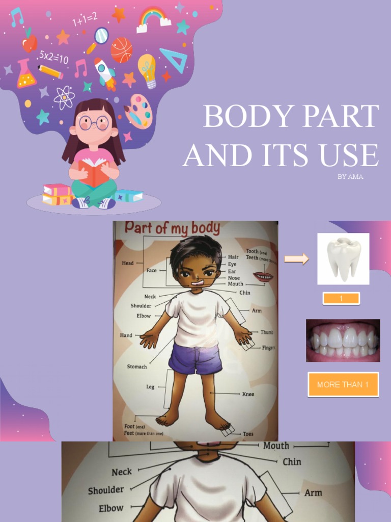 Body Part and Its Use | PDF