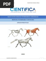 Atlas Del Desarrollo Embrionario Del Perro Embriologia - Compress | PDF ...