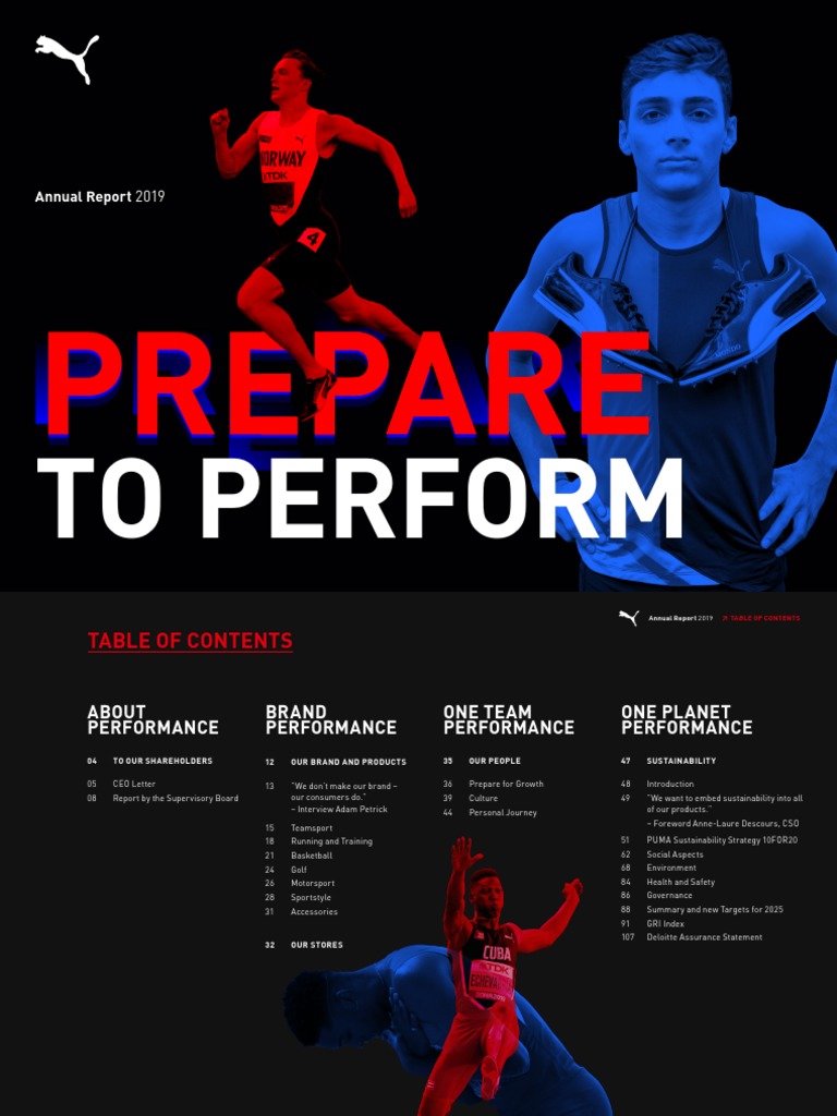 Puma Ar 2019 - Annual Report | PDF | Board Of Directors | Audit Committee