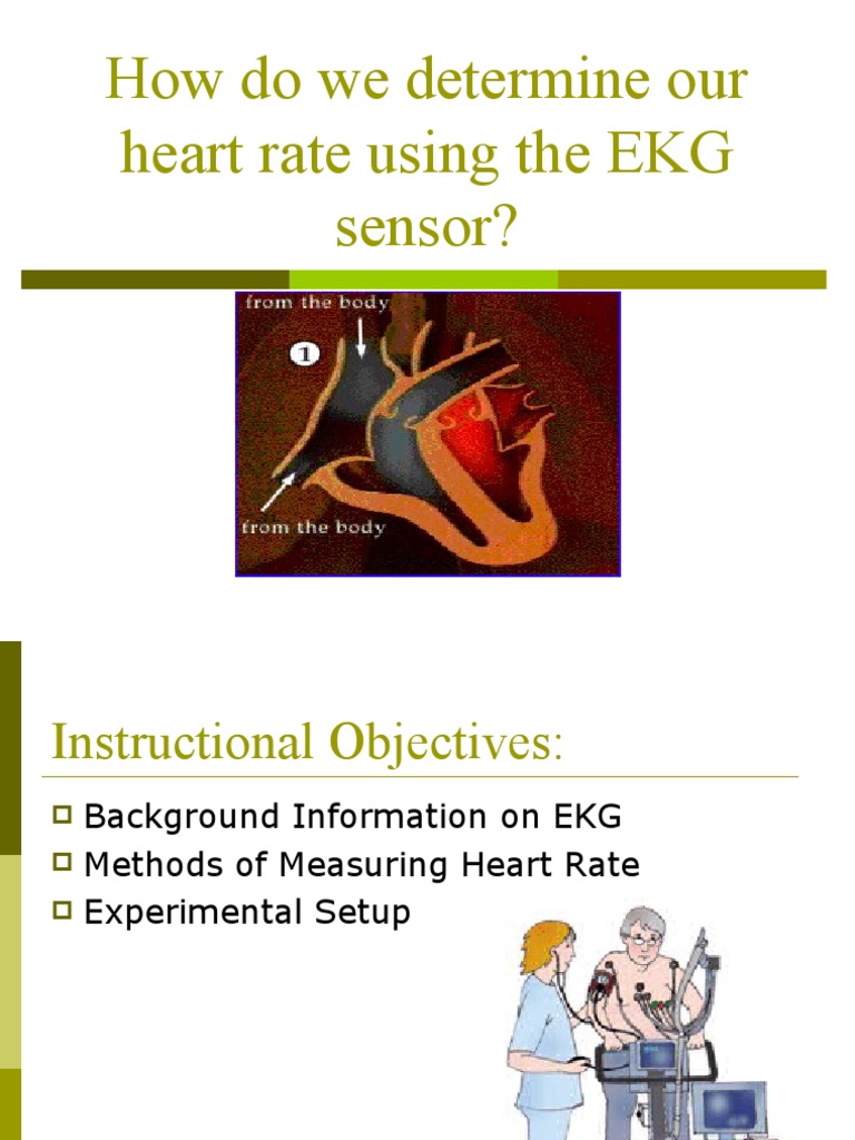 How Do We Determine Our Heart Rate | PDF