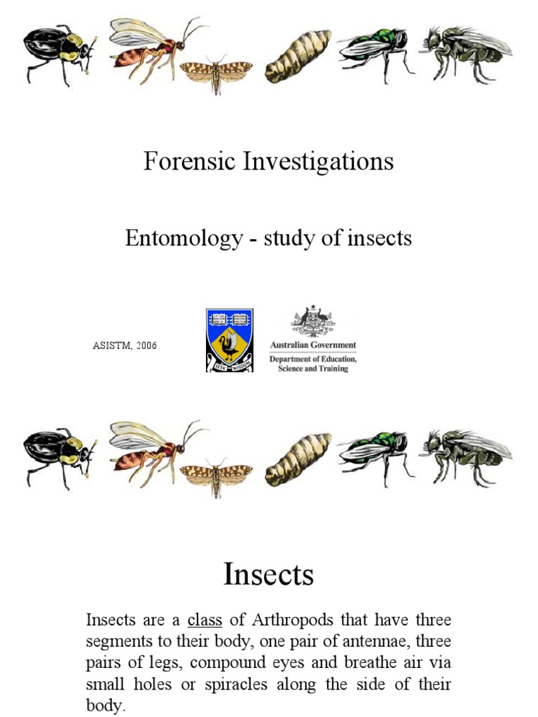 Forensic Investigations: Entomology - Study of Insects | PDF | Insects ...