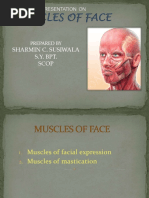 Lateral View of Facial Muscles | PDF | Soft Tissue | Human Anatomy
