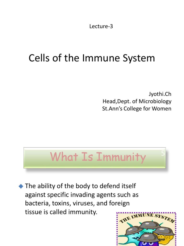 Cells of Immune System Notes 2 | PDF | T Cell | T Helper Cell
