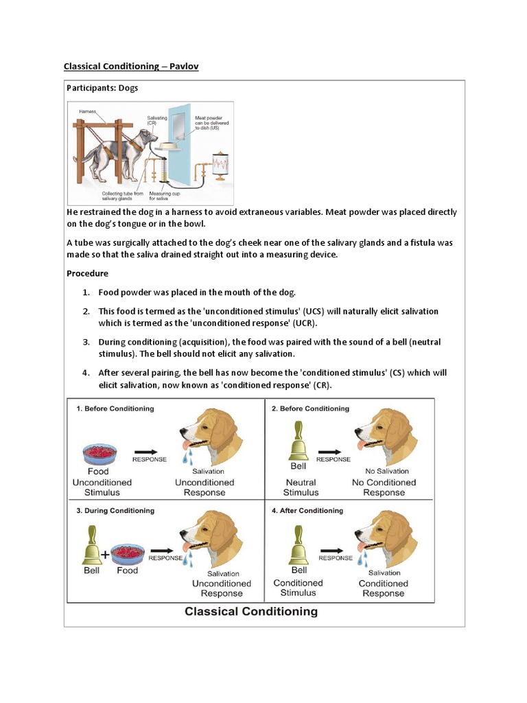 C3 Experiment PDF | PDF | Classical Conditioning | Psychological Schools
