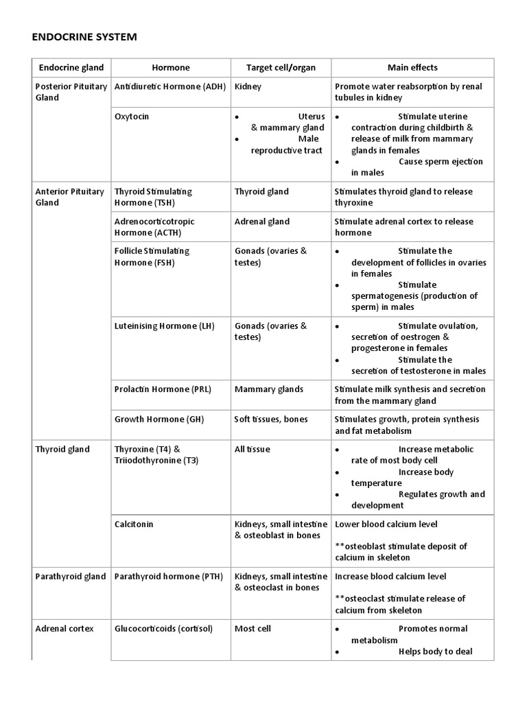 Endocrine System: Endocrine Gland Hormone Target Cell/organ Main ...