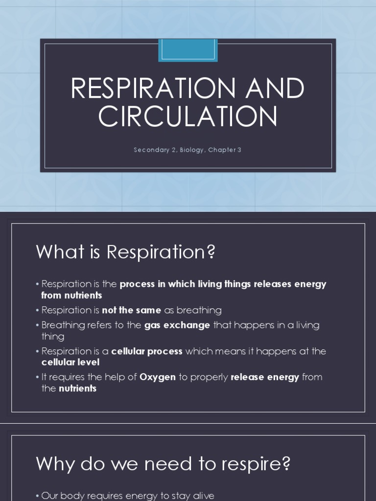 Respiration and Circulation: Secondary 2, Biology, Chapter 3 | Download ...