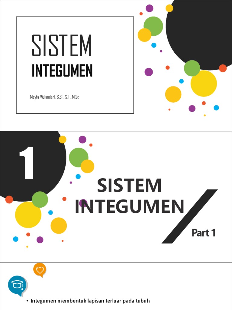 Sistem Integumen | PDF | Griya & Taman | Kesehatan Holistik