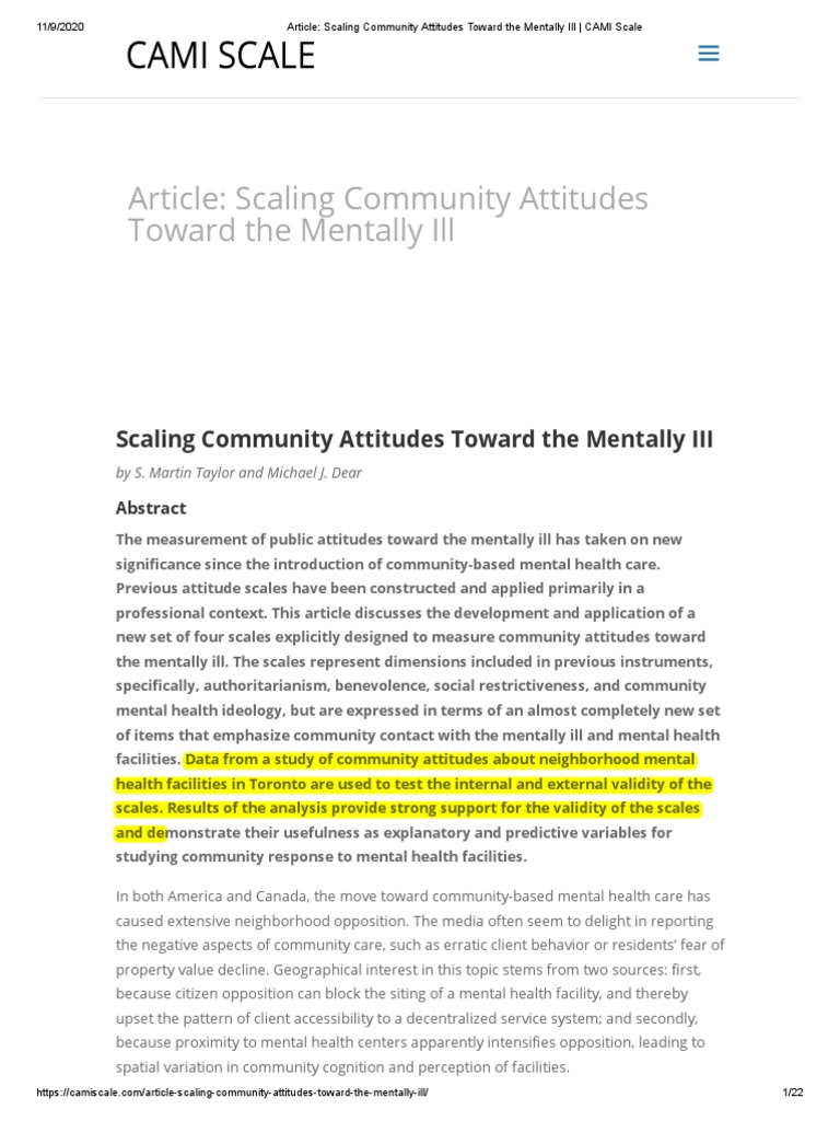 Cami Original | PDF | Attitude (Psychology) | Survey Methodology