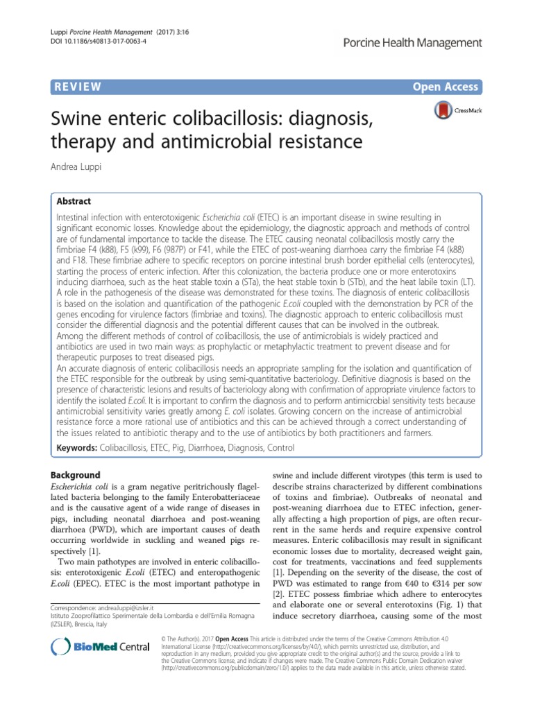 Swine Enteric Colibacillosis Diagnosis Therapy and | PDF | Escherichia ...