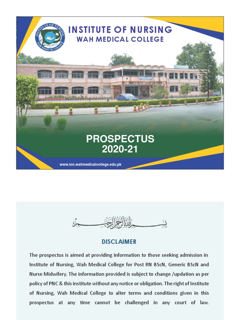 Institute of Nursing: Prospectus 2020-21 | PDF | University And College ...