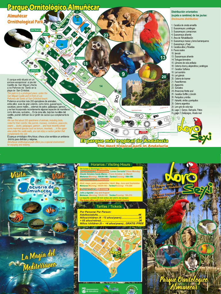 Triptico Loro Sexi 2019 | PDF