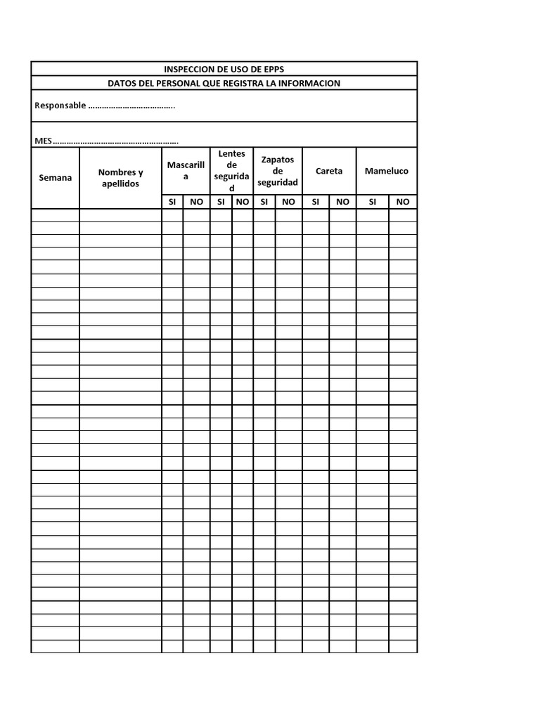 Registro Control de EPP | PDF