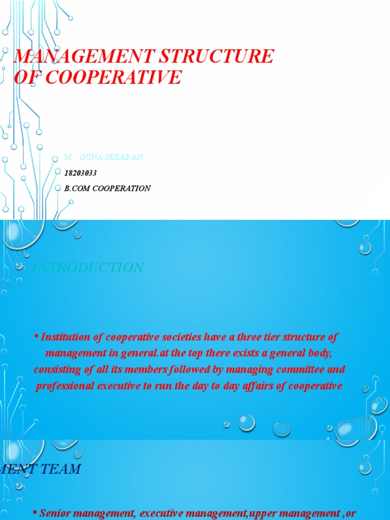 Cooperative Management Structure Overview | PDF | Chief Executive ...