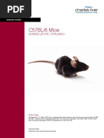 Upcat Coverage Filipiknow | PDF | Teaching Mathematics | Equations