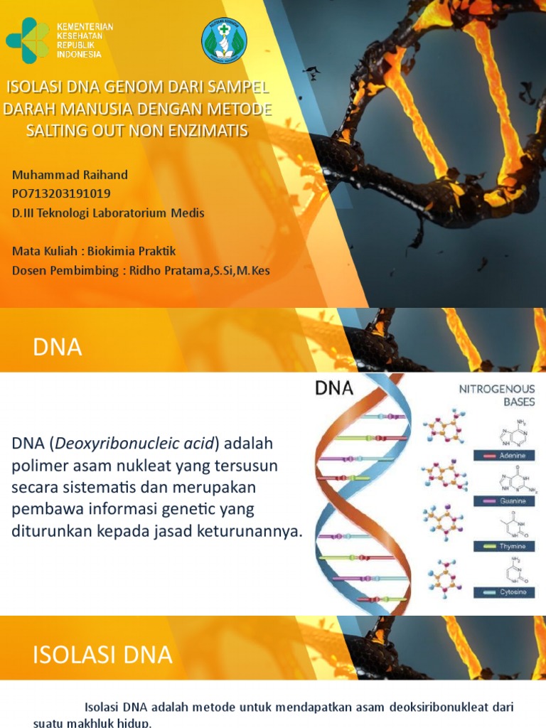 Isolasi DNA | PDF | Sains & Matematika