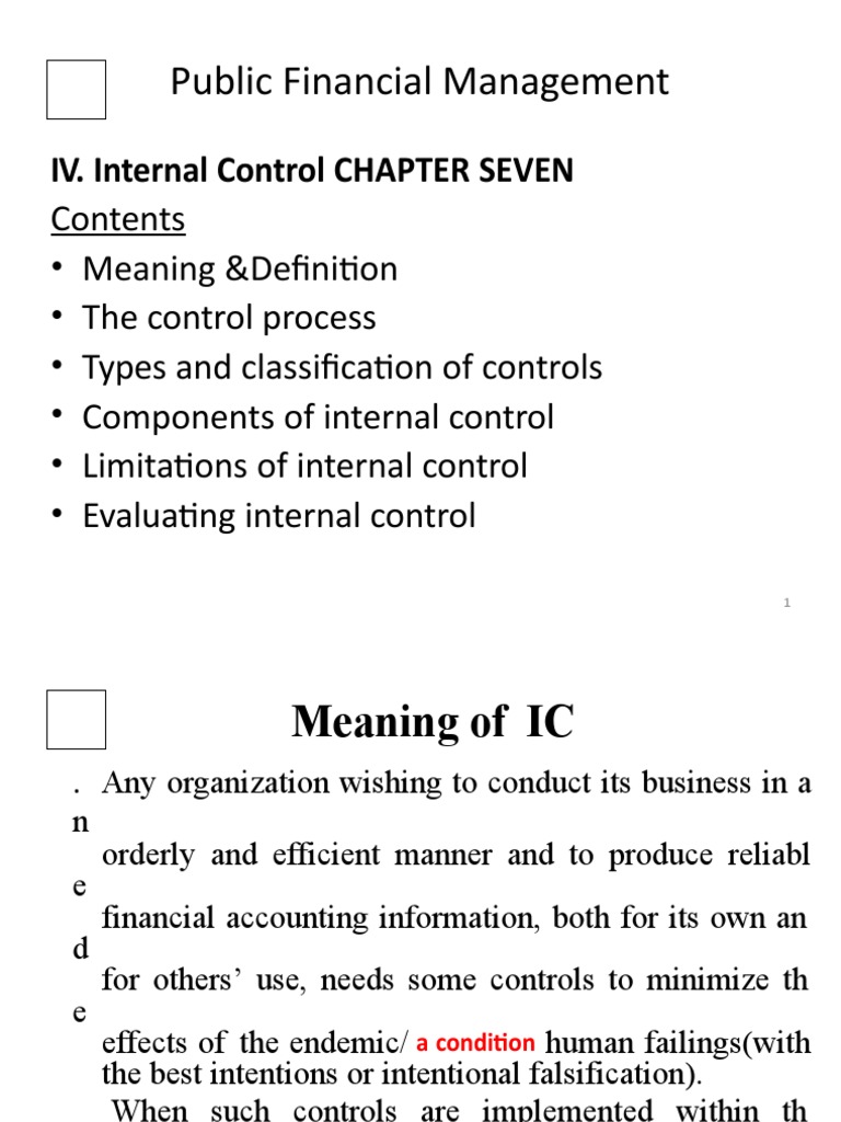 Evaluating Internal Controls and Their Importance for Effective Public ...