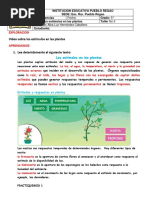Tropismo en Plantas | PDF | Ligero | Science