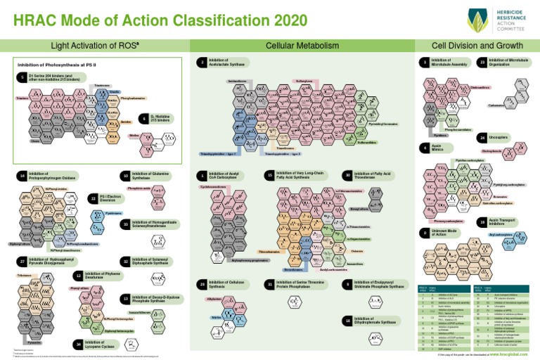 HRAC MOA Classification Herbicides Poster | PDF | Biocides | Organic ...