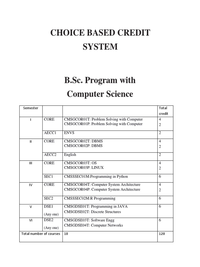 Choice Based Credit System: Semester Total Credit I | PDF | Method (Computer Programming ...