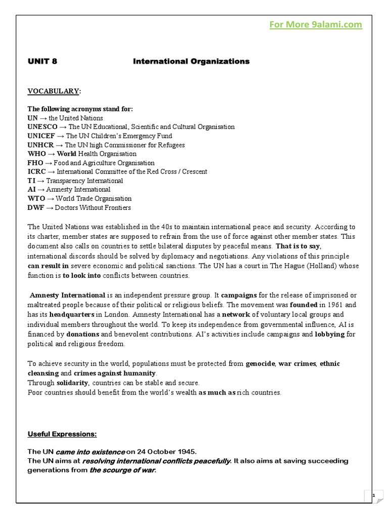 International Orgs Overview | PDF | Amnesty International | United Nations
