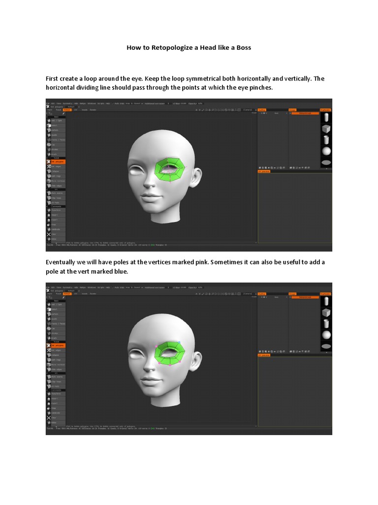 Facial Retopology - Step by Step Guide | PDF | Vertex (Geometry) | Polygon