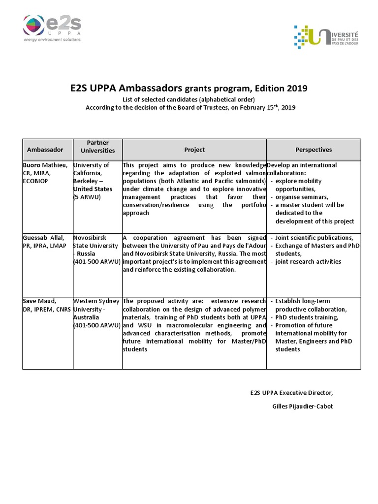 E2S UPPA Ambassadors: Grants Program, Edition 2019 | PDF | Inquiry | Science