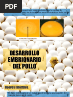 Desarrollo del Embrión de Pollo | PDF | Anatomía | Reproducción
