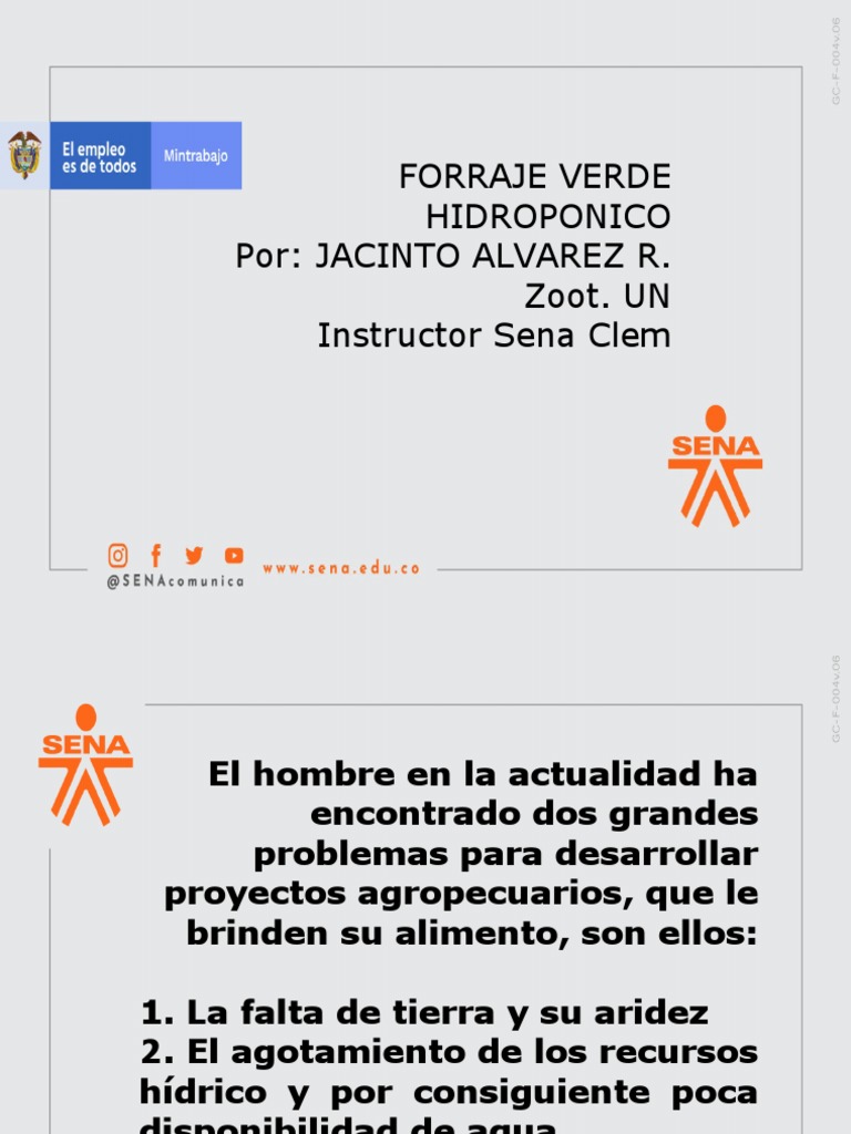 FVH FORRAJE VERDE HIDROPONICO Jacintoalvar | PDF | Cereales | Trigo