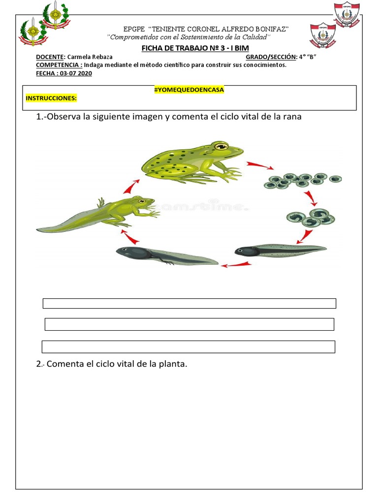 3.4 Ficha de Ciencia y Tecnologia El Ciclo Vital de Animales y Plantas ...