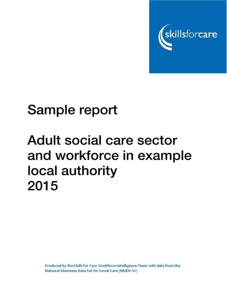 Sample Analysis Report PDF | PDF | Living Wage | Workforce