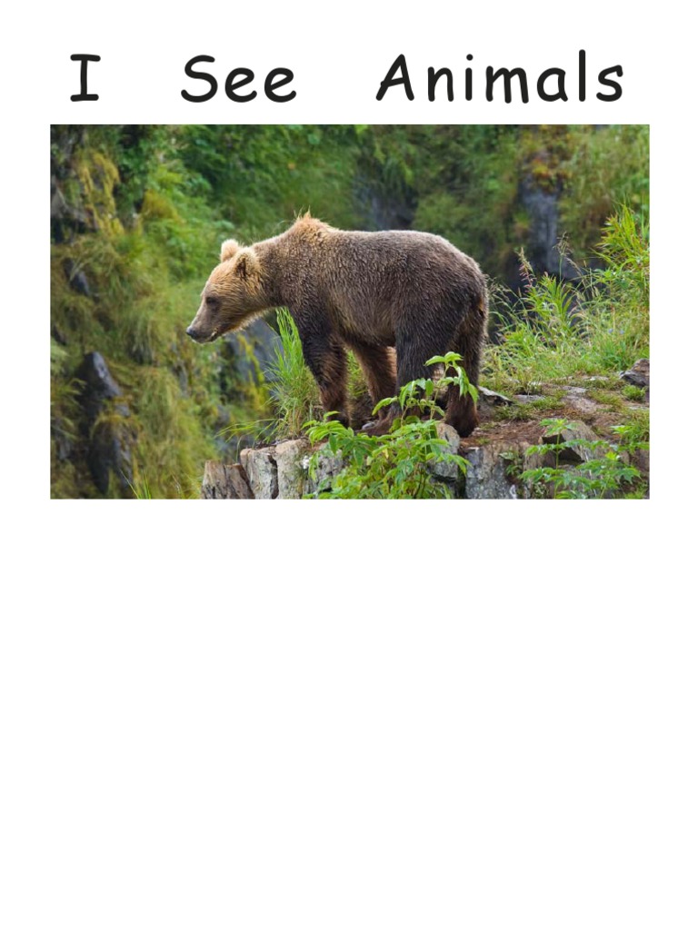 I See Animals | PDF | Creative Commons License | Creative Commons
