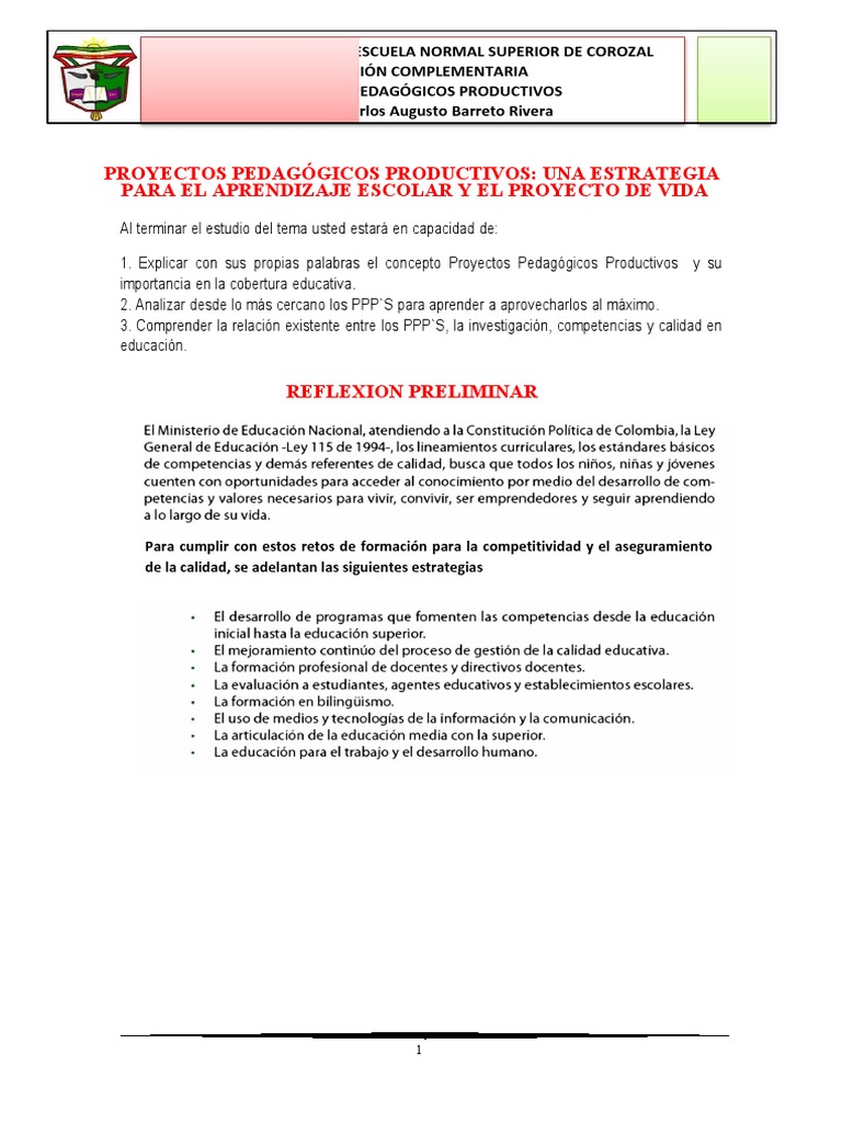 Documento de PPP Aprendizaje Escolar | PDF | Aprendizaje | Enseñando