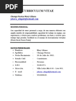 Curriculum Vitae Practicante Senati | PDF
