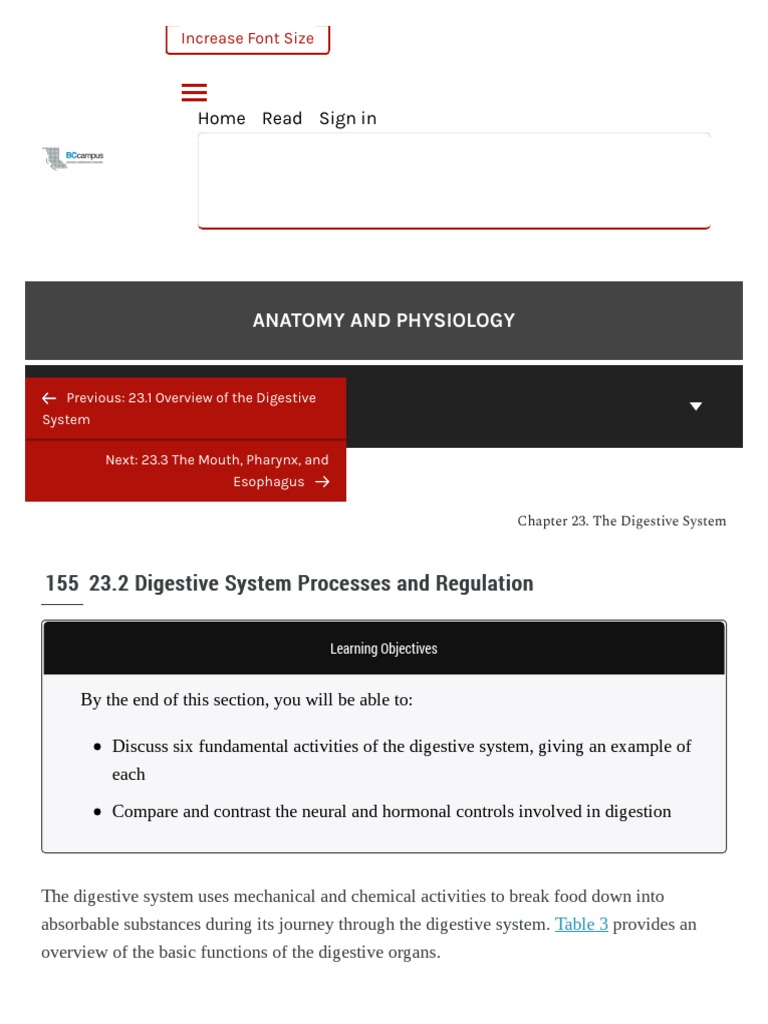 Digestive System Processes and Regulation - Anatomy and Physiology ...
