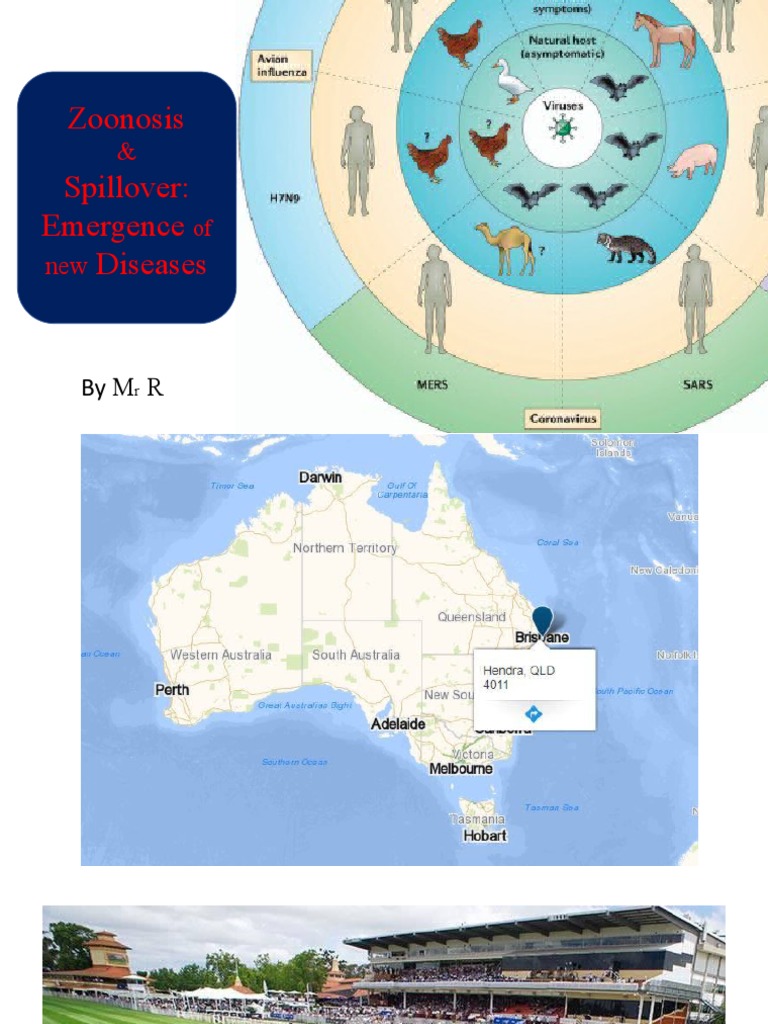 Zoonosis Spillover: Emergence Diseases: Bym R | PDF