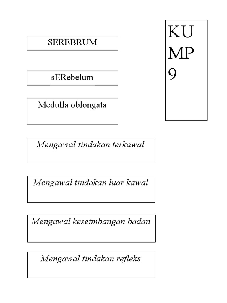 Label Fungsi Otak | PDF