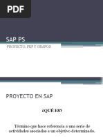 Guía SAP PS: Gestión de Proyectos | PDF | Presupuesto | Evolución