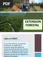 Fauna y Flora de La Region PUNO - ECOLOGIA Y DESARROLLO SOSTENIBLE ...