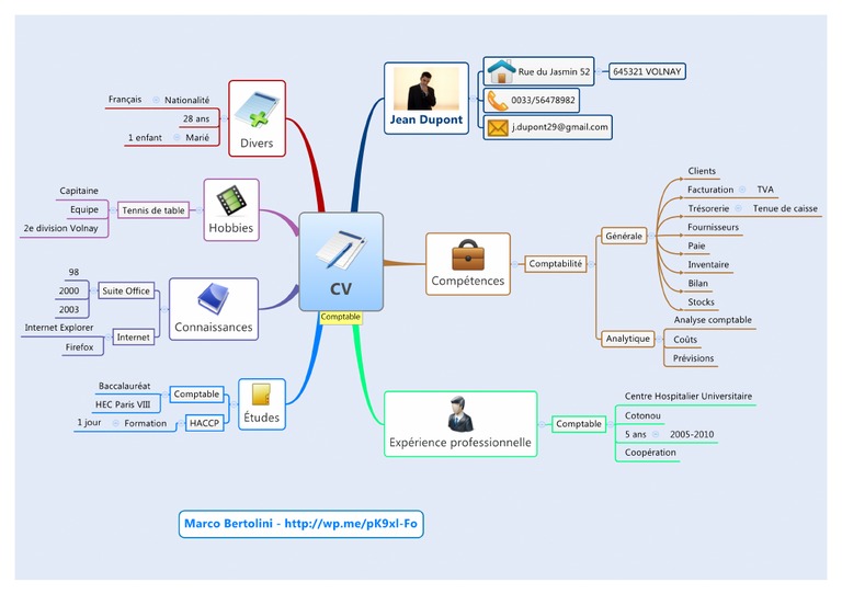 CV - Mindmap | PDF